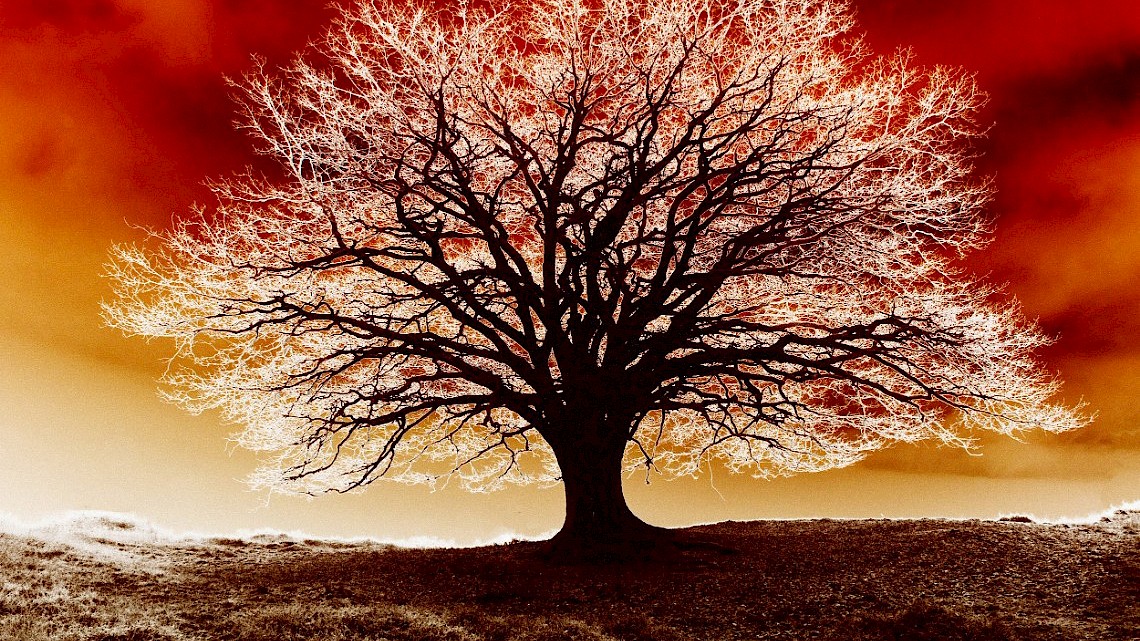 Expositie Marijke Reijs, Fenneke Wijnia en Jannie Boezeman - Naober ...